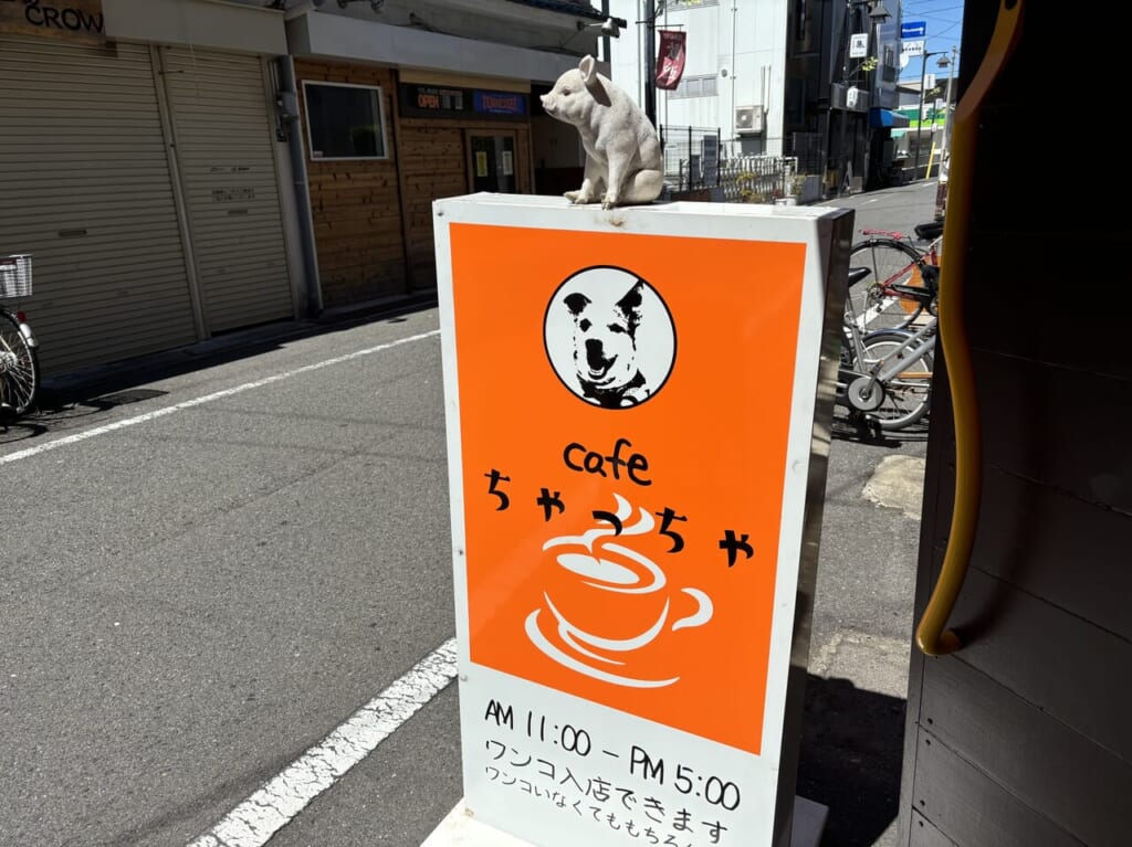 【岸和田市】「cafe chaccha」はドッグカフェとしてリニューアルオープン！ワンコなしでも食事などをもちろん楽しめます。 | 号外NET ...